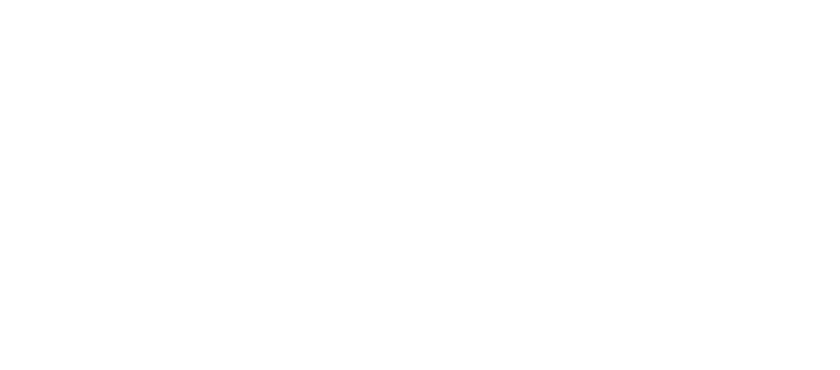 TIIS – The Institute of International Studies