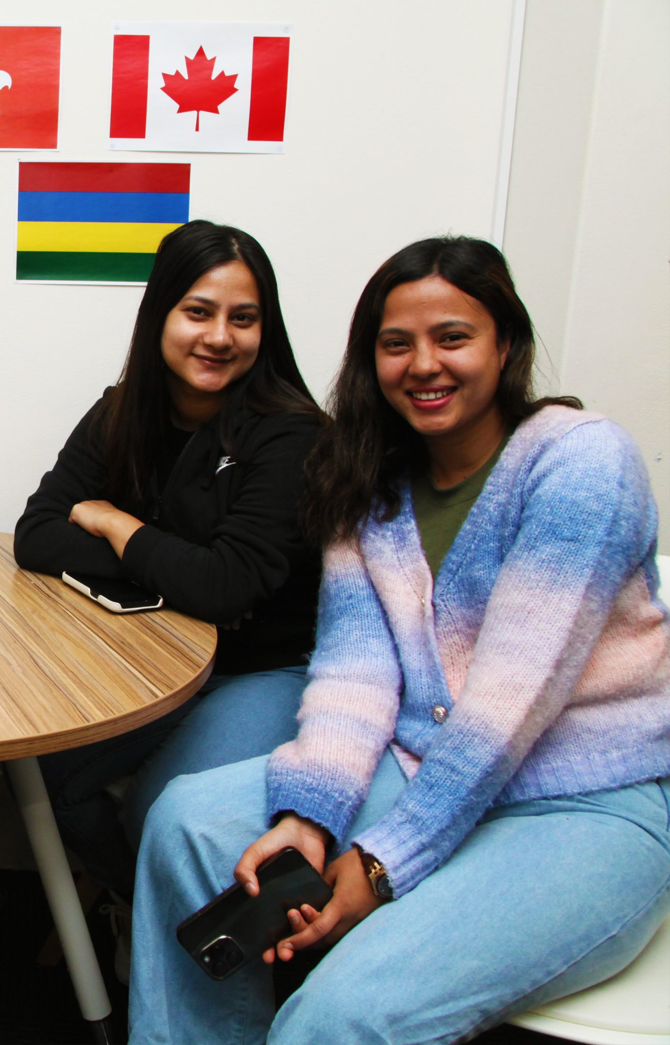 TIIS – The Institute of International Studies